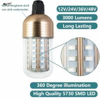 China 12V 30W IP68 Underwater Fish Finder Lamp Plastic Aluminum LED Night Fishing Light for sale