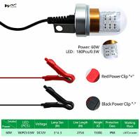 China Fresh Salt Water Fishing Lights Underwater Submersible Lure Lamp for Squid and Crappie for sale