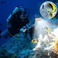 China Waterproof LED Video Light High Power Dimmable Fill Night Light for Diving Underwater for sale