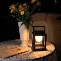 China Solar Table Lamp 10 RGB Color Changing Lights Portable Rechargeable Solar Lantern Waterproof 2- for sale