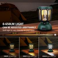 China Waterproof 650LM Hand Crank Solar Battery Powered Rechargeable LED Camping Lantern for sale