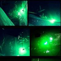 China 50000 Hours Lifespan 12V High Power 100W 200W Underwater Fishing Light for Night Fishing for sale