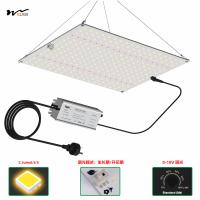 China 225 LED Beads 8000lm 600W 1200W 2000W Plant Growth Light for Greenhouse Succulent Seedling for sale