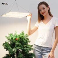 China 225 LED Beads 8000lm 600W 1200W 2000W Plant Growth Light for Greenhouse Succulent Seedling for sale
