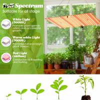 China Hanging Full Spectrum LED Plant Light for Germination and Flowering in Grow Tents for sale