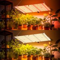 China Hanging Full Spectrum LED Plant Light for Germination and Flowering in Grow Tents for sale