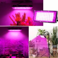 China Seed Starting 50W Full Spectrum Plant Lamp with Stand LED Standing Floor Grow Light for sale