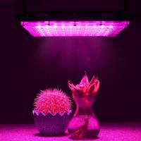 China Seed Starting 50W Full Spectrum Plant Lamp with Stand LED Standing Floor Grow Light for sale