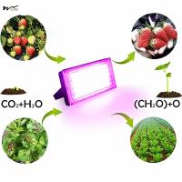 China Seed Starting 50W Full Spectrum Plant Lamp with Stand LED Standing Floor Grow Light for sale