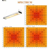 China Kitchen Plants' Growth Essential Upgraded Full Spectrum Plant Light with 5000K 3000K for sale