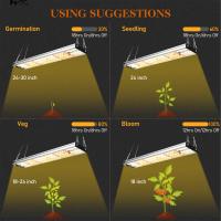 China Kitchen Plants' Growth Essential Upgraded Full Spectrum Plant Light with 5000K 3000K for sale