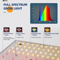 China LED Plant Growth Light 480W BU4800 for Daisy Chain Dimmable Adjustable LEDs Grow Lights for sale