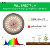 China 15Watts Full Spectrum Aluminum LED Plant Growth Light Bulb for Indoor Plants High PPF for sale