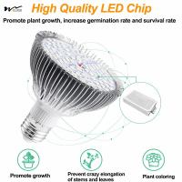 China Indoor Plant Veg Flower Garden Greenhouse Succulent 50W Led Plant Lamp Full Spectrum with UV and IR for sale