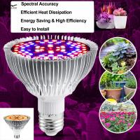 China Indoor Plant Veg Flower Garden Greenhouse Succulent 50W Led Plant Lamp Full Spectrum with UV and IR for sale