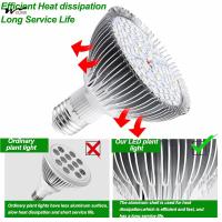 China Indoor Plant Veg Flower Garden Greenhouse Succulent 50W Led Plant Lamp Full Spectrum with UV and IR for sale