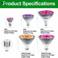 China Indoor Plant Veg Flower Garden Greenhouse Succulent 50W Led Plant Lamp Full Spectrum with UV and IR for sale