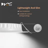 China 4000K Household Embedded Ceiling Lamp with Ultra-Thin Iron Hole and Smart Lighting LED for sale
