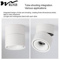 China Household LED Cylindrical Light for Onsite Metering and Smart Home Lighting Solutions for sale