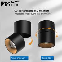 China Household LED Cylindrical Light for Onsite Metering and Smart Home Lighting Solutions for sale