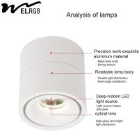 China Smart Home LED Cylindrical COB Open-Mounted Downlights with 90 CRI and No Hole Design for sale