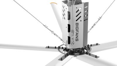 China Customized Blades Affordable Hvls Fan Giant Ceiling Fans High Volume for sale
