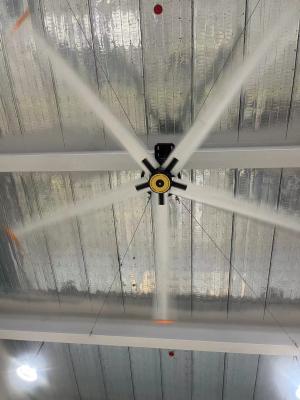 China 2.5 Meters Commercial Ceiling Fans For Restaurants PMSM 8 Foot Diameter Ceiling Fan for sale