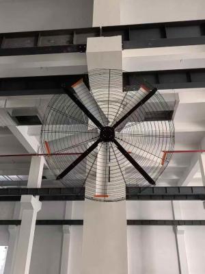 China 500W Industrial Oscillating Fan Wall Mount With Large Scale Air Movement for sale