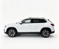 China VW Tayron Auto 300TSI SUV 1.5T 160HP 7 Speed DSG Front Wheel Drive for sale