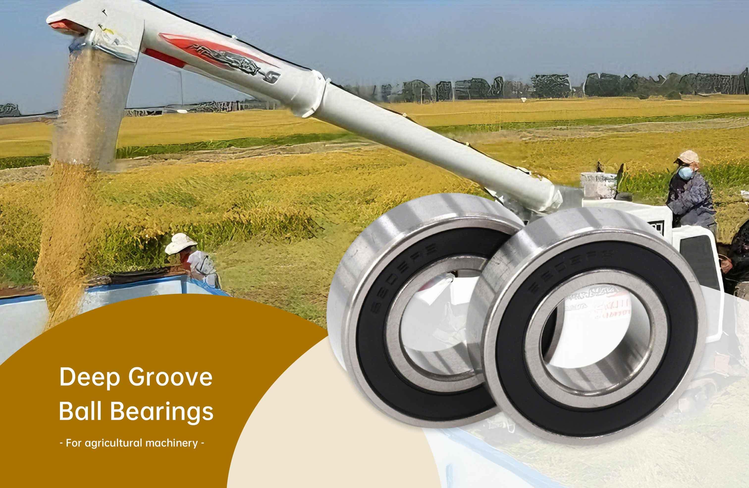Sealed deep groove ball bearings such as 6205-2RS used in motors, sprayers and pulleys for agricultural machinery.