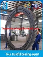 China Slewing Ring Bearing RKS.162.16.1904  Crossed Cylindrical Bearing 1904x2012x68mm for sale