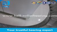 China 06. 2242. 00 2534X2042X144 Slewing Ring Bearing With Single row for sale