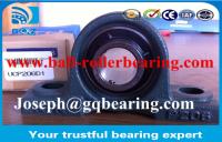 China UCP305D1 Pillow Block Bearing with Housing/Bearing Units 25x175x85mm for sale