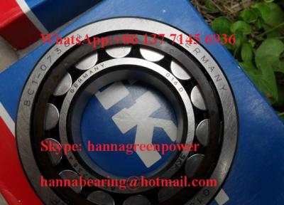 China BC1-0738 A Cylindrical Roller Bearing 40x80x18mm TS16949 QS9000 for sale