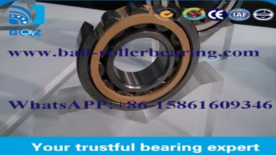 China Automobiles Full Complement Roller Bearing with GCr15 Steel Material P0 P6 P2 for sale