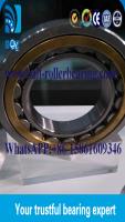 China Automobiles Full Complement Roller Bearing with GCr15 Steel Material P0 P6 P2 for sale