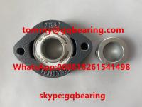 China Cast Iron Material INA FLCTE25-XL Two-Bolt Flange Housing Units Pillow Block Bearing for sale