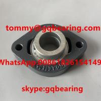 China Cast Iron Material INA FLCTE25-XL Two-Bolt Flange Housing Units Pillow Block Bearing for sale