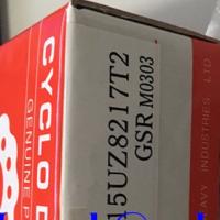 China Thrust Cylindrical Roller Bearing 15UZ8217T2 (15UZ8217) Eccentric Bearing 15x40.5x28 mm for sale