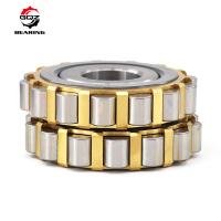 China Eccentric Bearing 619 GSX Cylindrical Roller Bearing 619GSX Chrome Steel Bearing 85x151.5x34mm for sale