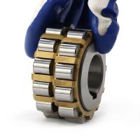 China 500752307 Nylon Cage Double Row Eccentric Roller Bearing 35x86.5x50mm for sale