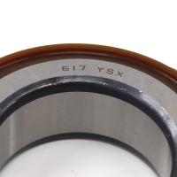 China 617YSX Nylon Cage Cylindrical Roller Bearings 60x113x31mm Reducer Eccentric Bearings 617 YSX for sale