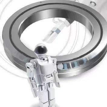 China Cross Roller Robot Bearing RA5008 RA6008 RA7008 RA8008 RA9008 for sale