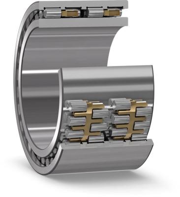 China BC1-0125 Single Row Cylindrical Roller Bearing with High Radial Load Capacity Full Complement Design and Chrome Steel Construction for sale