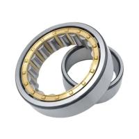 China SL045014-PP Double Row Full Complement Cylindrical Roller Bearing with PP Lip Seals for Heavy Load Applications for sale