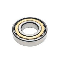 China SL045014-PP Double Row Full Complement Cylindrical Roller Bearing with PP Lip Seals for Heavy Load Applications for sale