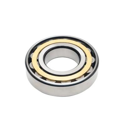 China SL045014-PP Double Row Full Complement Cylindrical Roller Bearing with PP Lip Seals for Heavy Load Applications for sale
