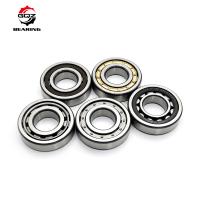 China SL045026 Double‑Row Full Complement Cylindrical Roller Bearing 130×200×95mm For Hoist Construction Machinery for sale