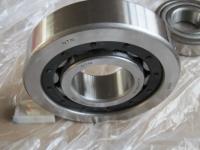 China Supplier Quality Cylindrical Roller Bearings  NJ409C3 for sale