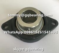 China INA RCJTZ35 Two-bolt Flange Pillow Block Ball Bearing in cast iron RCJTZ35-XL Housing Units for sale